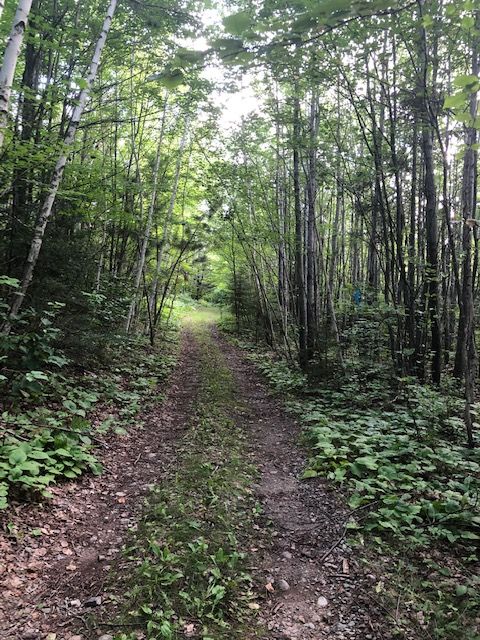 Tomahawk Trail – Enjoy The Ride