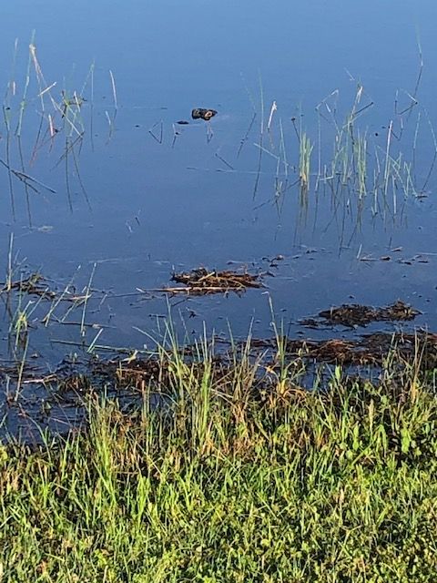 Monument Lake – Enjoy The Ride